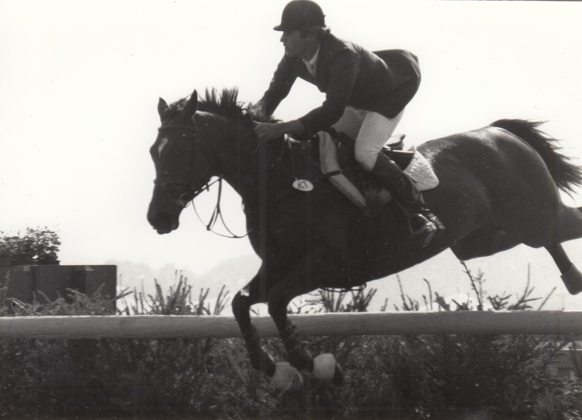 Jan Trousílek (1946)